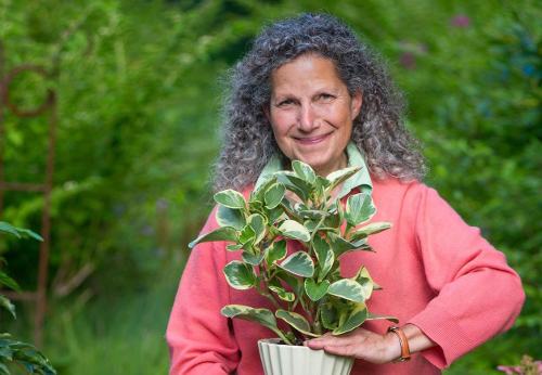 Tovah Martin Presents “Terrariums & You” | Olde Ripton Garden Club